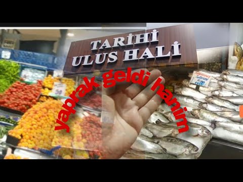 ANKARA ULUS HALİ | 18 MAYIS 2026 FİYATLAR #keşfet #food #öneçıkart #youtube #ankarahali 