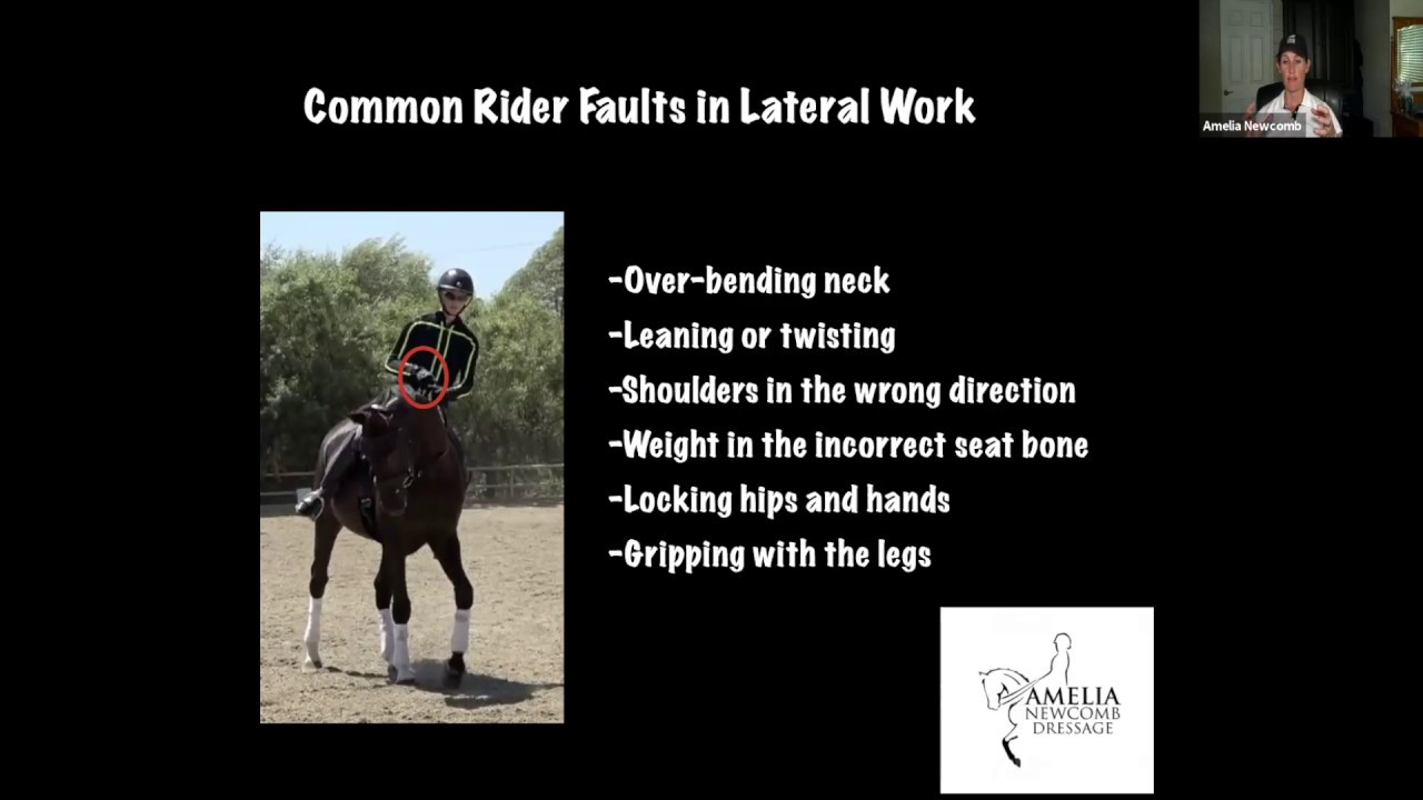 Dressage Lateral Work - YouTube