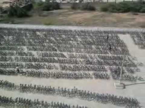 the great cycle stand of bansal classes - YouTube