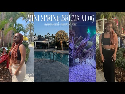 Mini Spring Break Vlog 🪷 (aquarium, amusement parks, mall, etc…) - YouTube