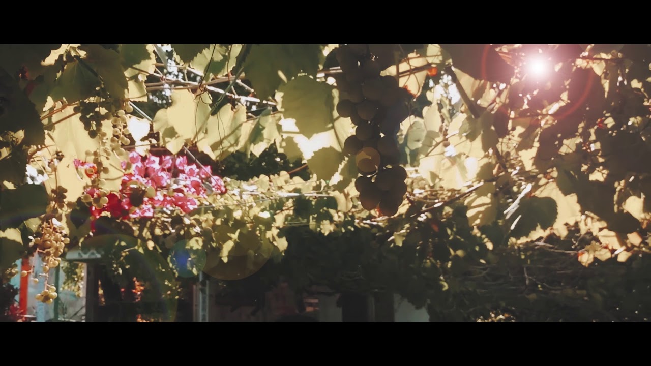 LG Stylo 4 Plus Film Test - YouTube