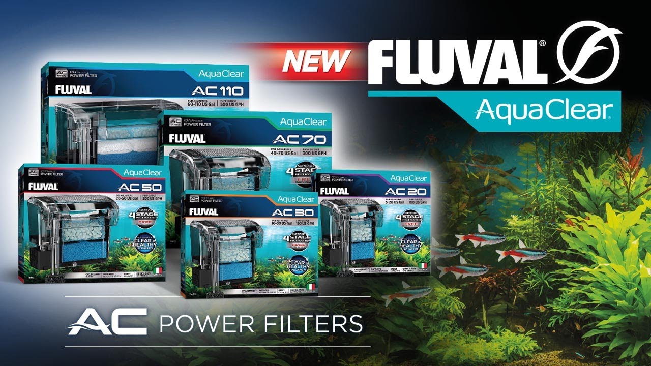 SET UP IN MINUTES | Fluval AC Series Filter Installation - YouTube