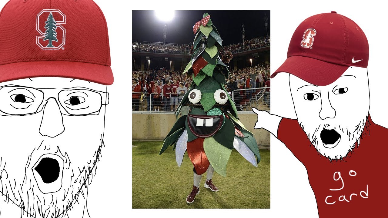 Stanford Tree Memes Meet The Sapling: Bravery And New Beginnings With