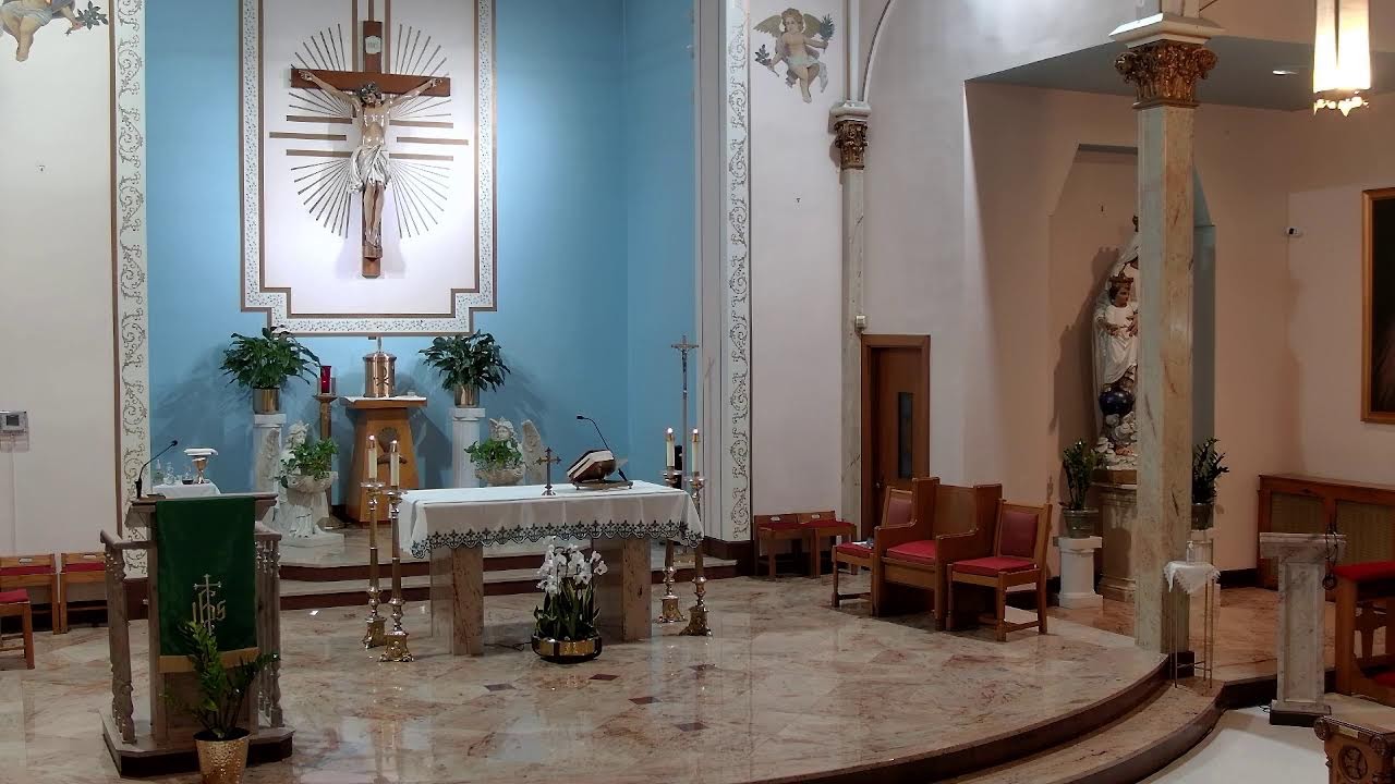 portuguese mass 8)M olv mt - YouTube