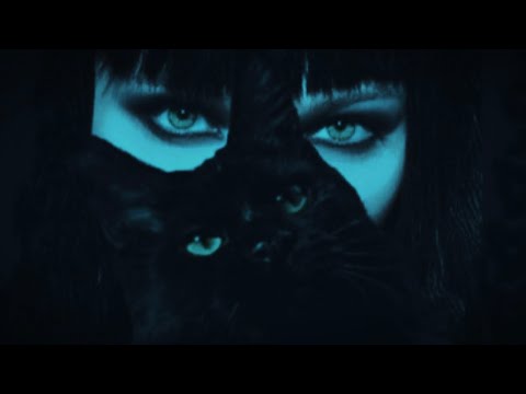 copycat trying to cop my glamor 🐈‍⬛ - YouTube