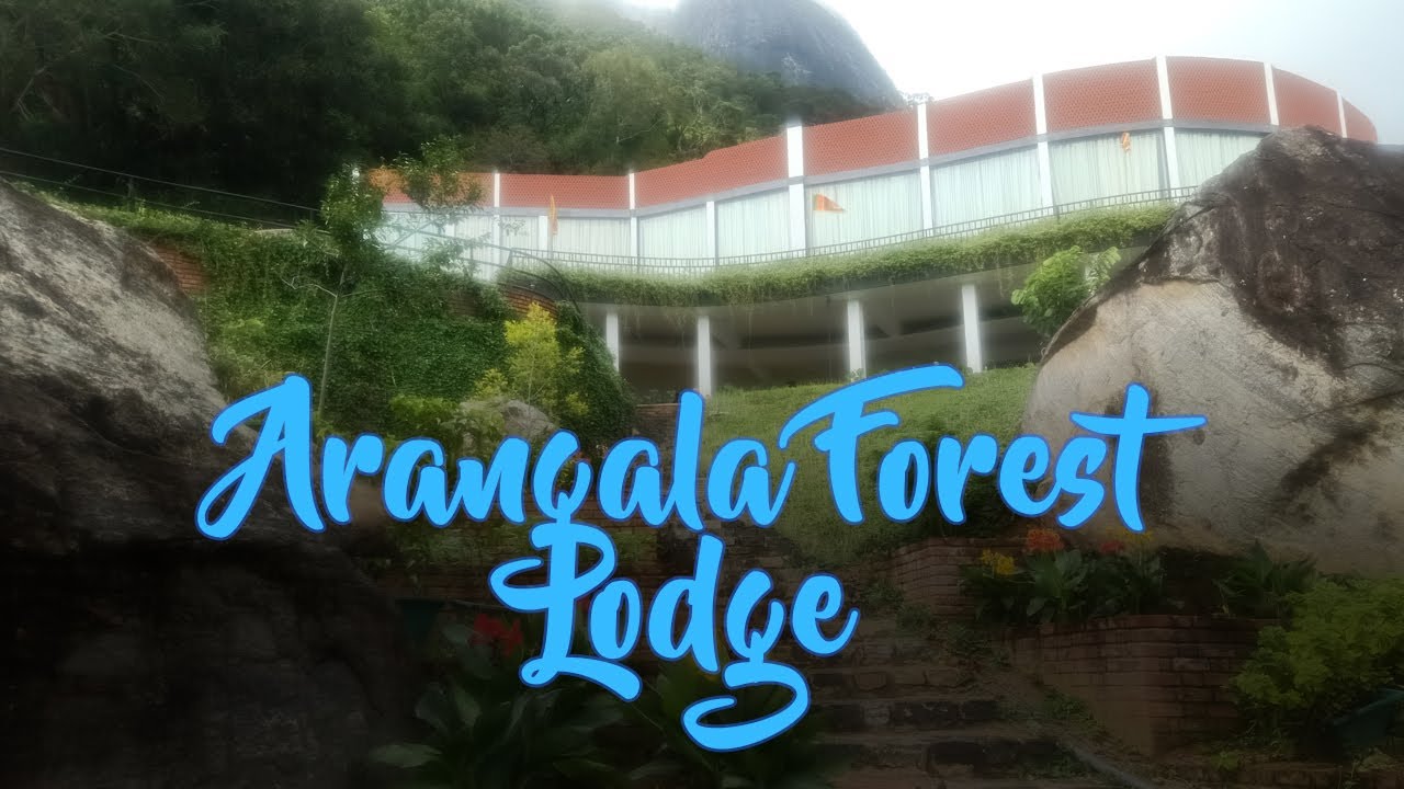 Arangala Forest Lodge | අරංගල Forest | Arangala Forest Hotel - YouTube