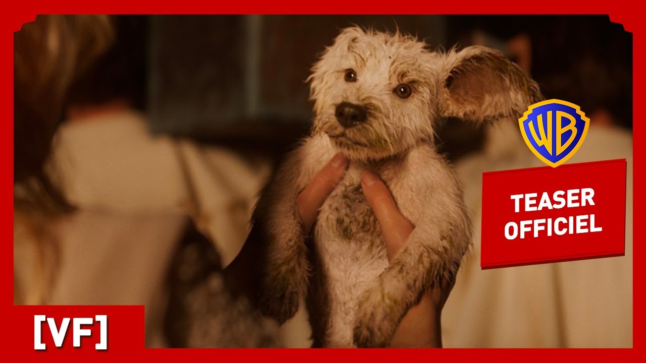 Supergirl | Teaser Krypto (VF) | Milly Alcock, Jason Momoa - videoblogs.com