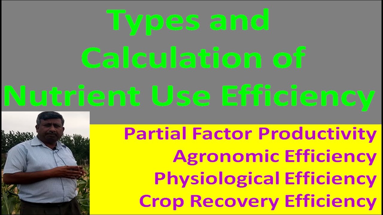 Types and Calculation of Nutrient Use Efficiency - YouTube