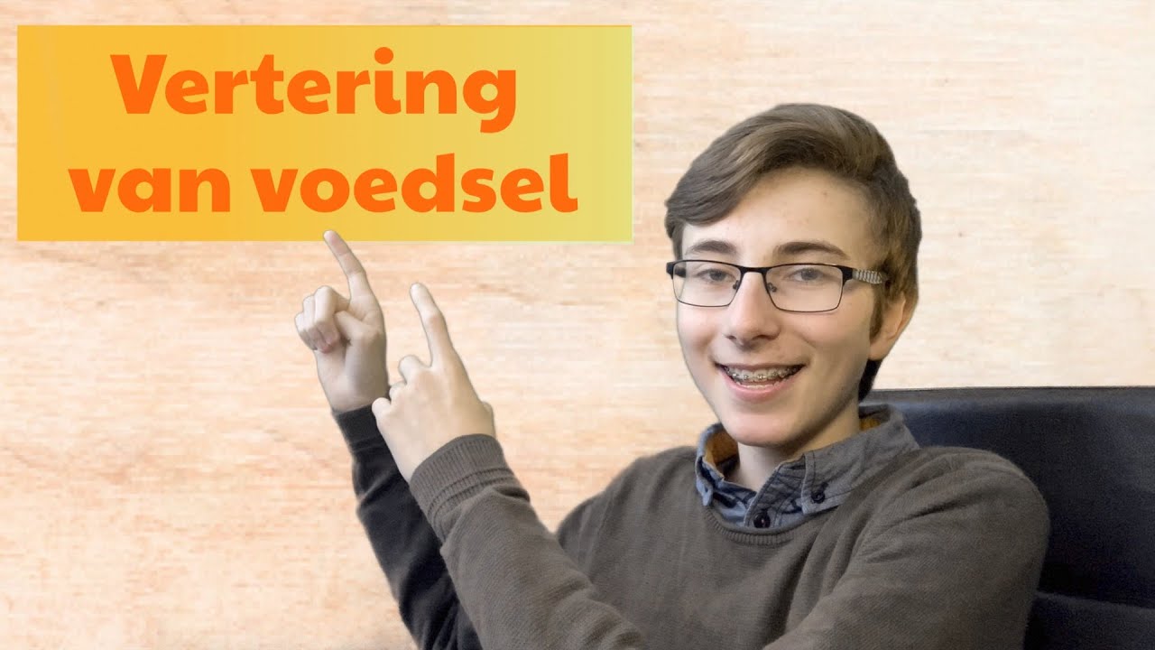 Vertering van Voedsel - YouTube