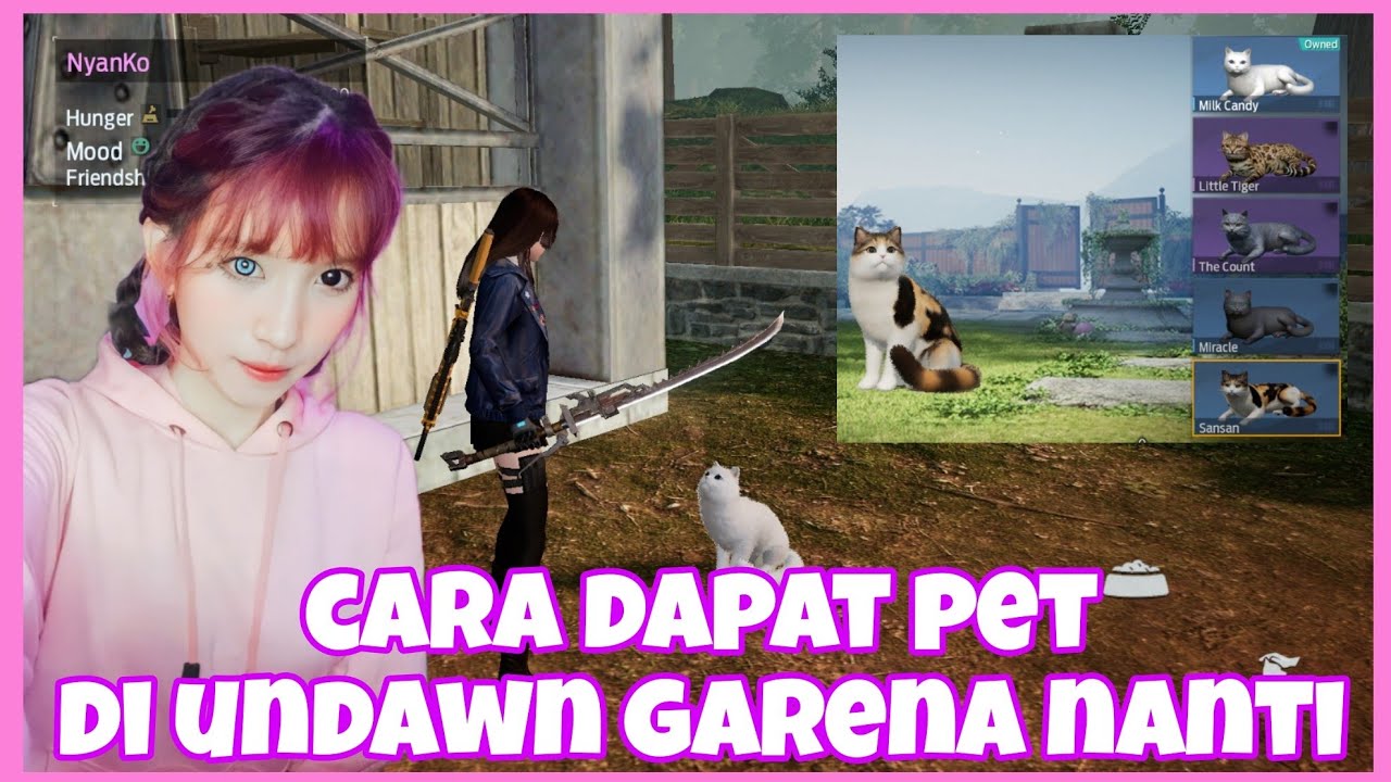 CARA DAPAT PET DI LEV 50 UNDAWN GARENA - YouTube