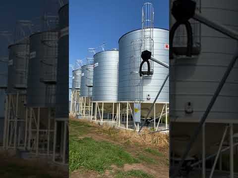 Design Talk: Sheep feedlot silo configuration - YouTube