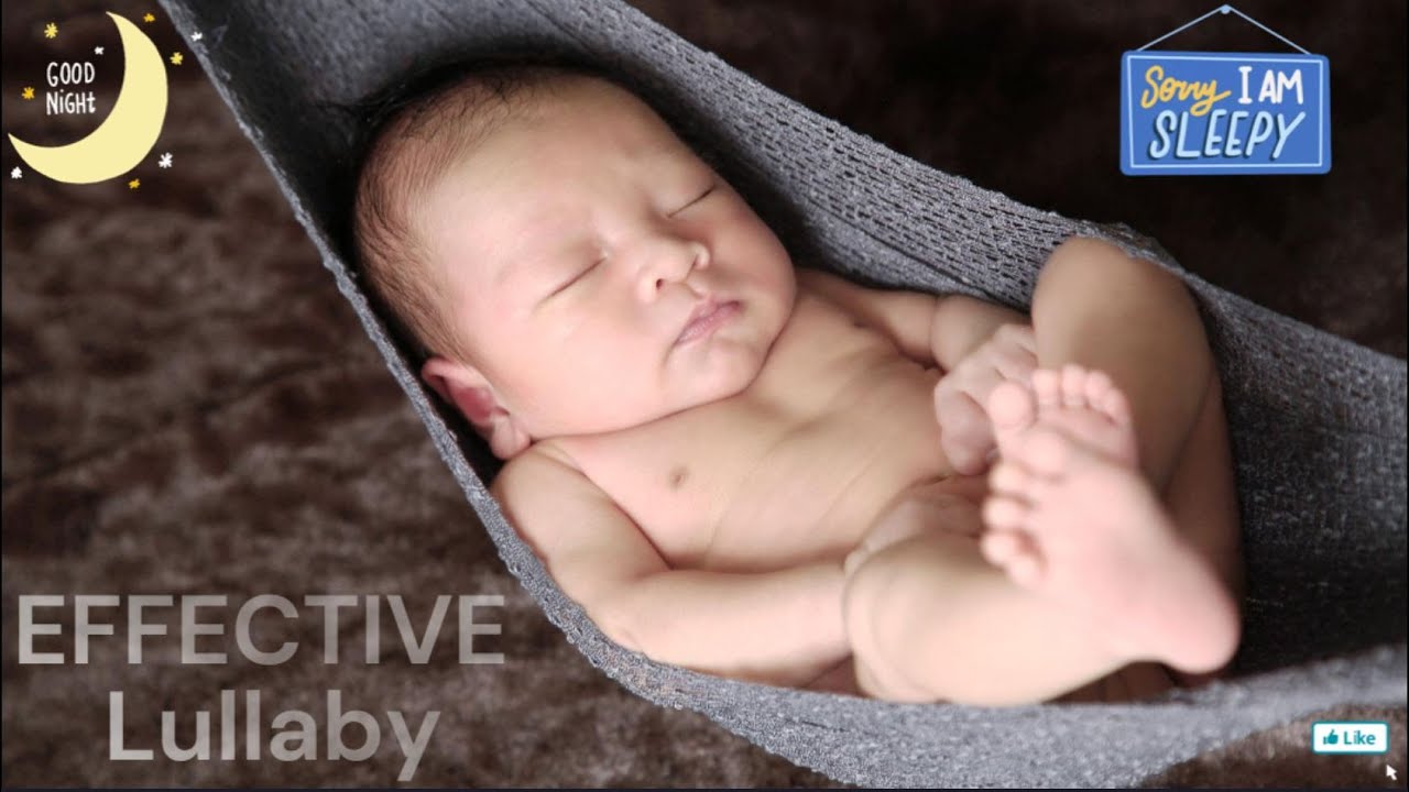 EFFECTIVE Lullaby ♫♫♫ Sorry I AM SLEEPY♫♫♫ - YouTube