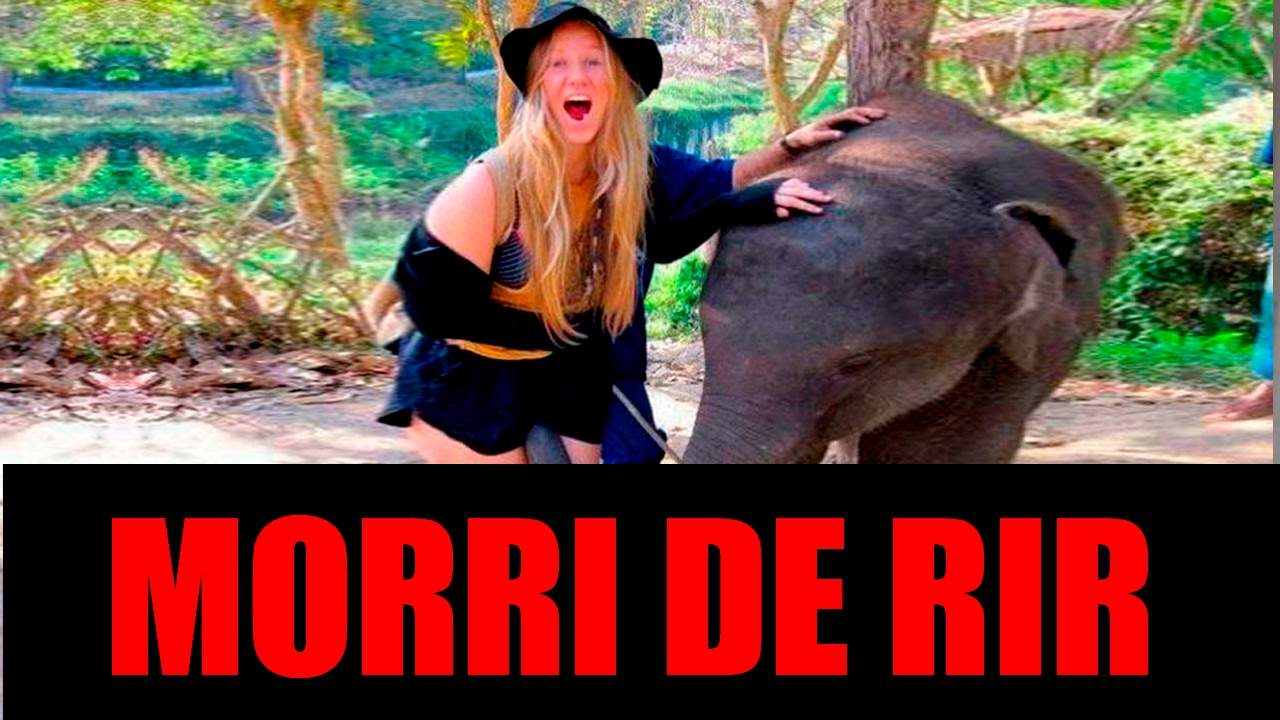 Quase Morri De Rir Da Piada Da Professora - LIBRAIN