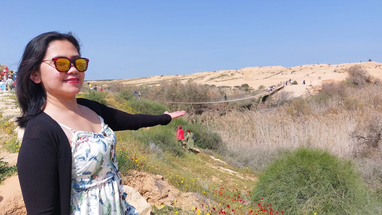 Nahal Besor ( Longest River in Southern Negev Desert) Israel - YouTube