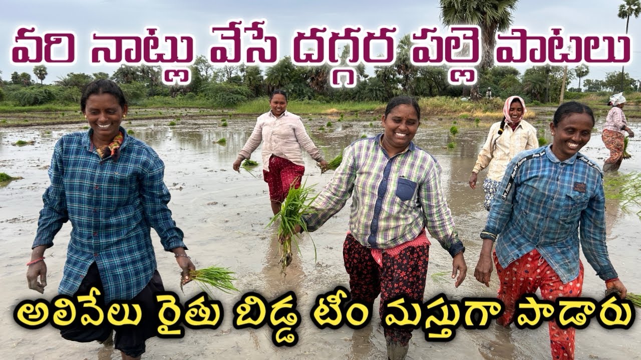 వరి నాట్లు వేసే దగ్గర పల్లె పాటలు | Vari Naatlu Songs Telugu | - YouTube