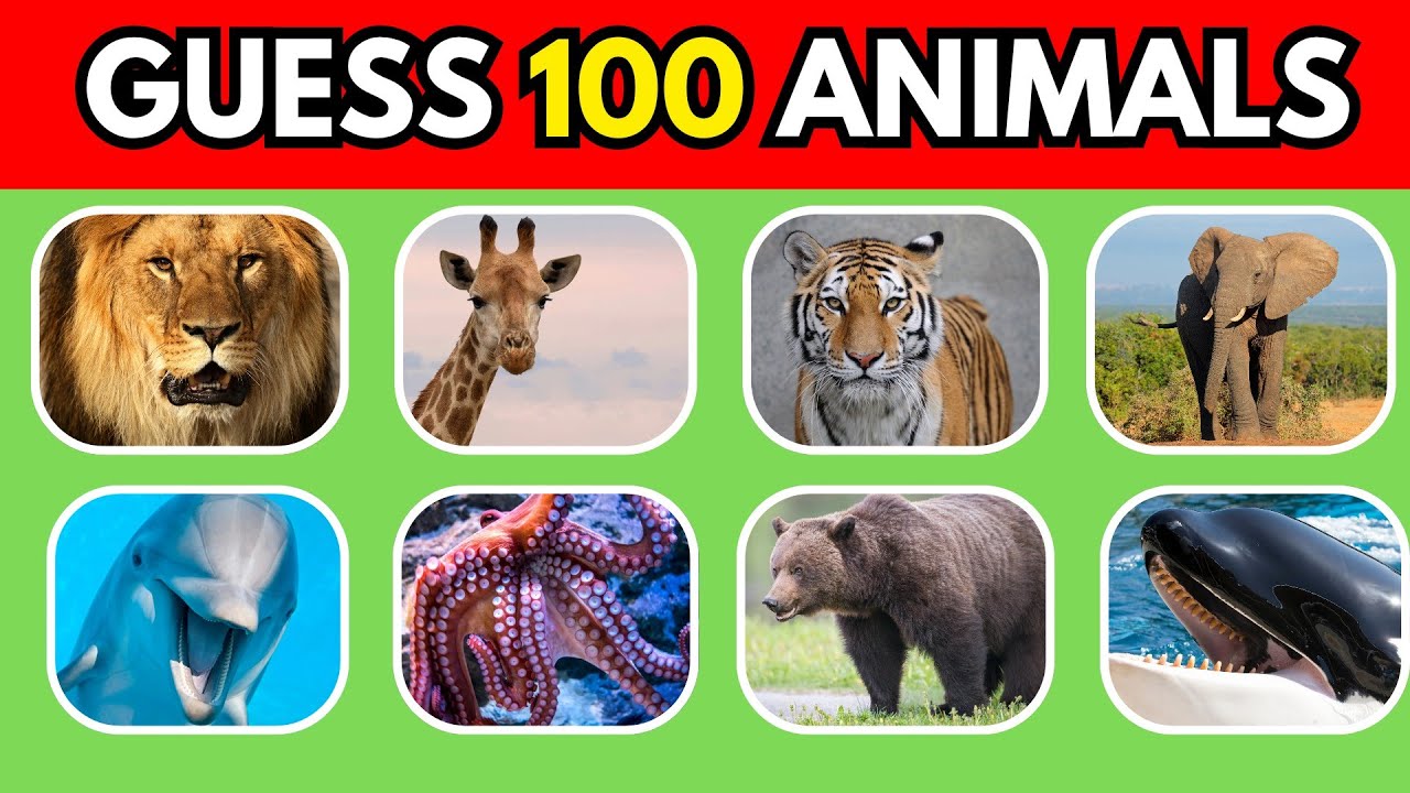 Animals for Kids | Learn 100 Animal and Guess their Name in 5 seconds ...