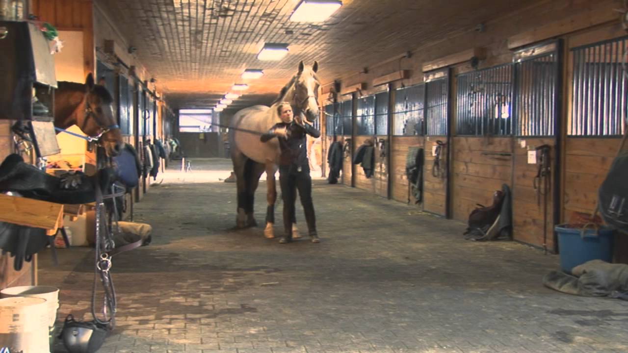 Horse Farm in West Grove, PA - YouTube