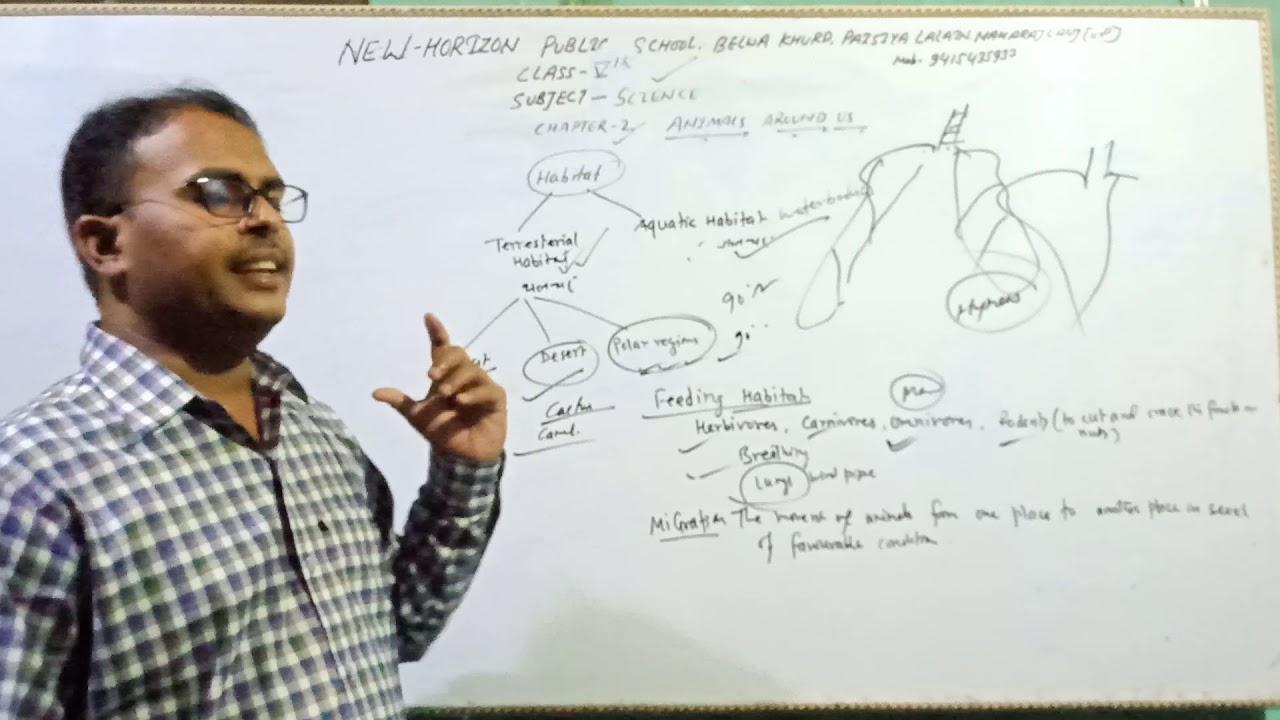 Class 5th Chapter 2 YouTube Class 5th Chapter 2 YouTube