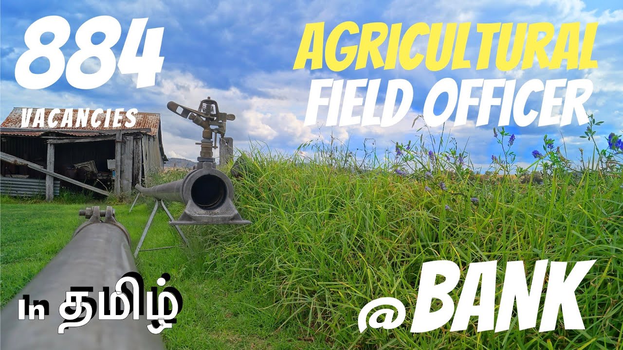 Agricultural Field Officer job in Bank. IBPS SO. Apply online. Last ...