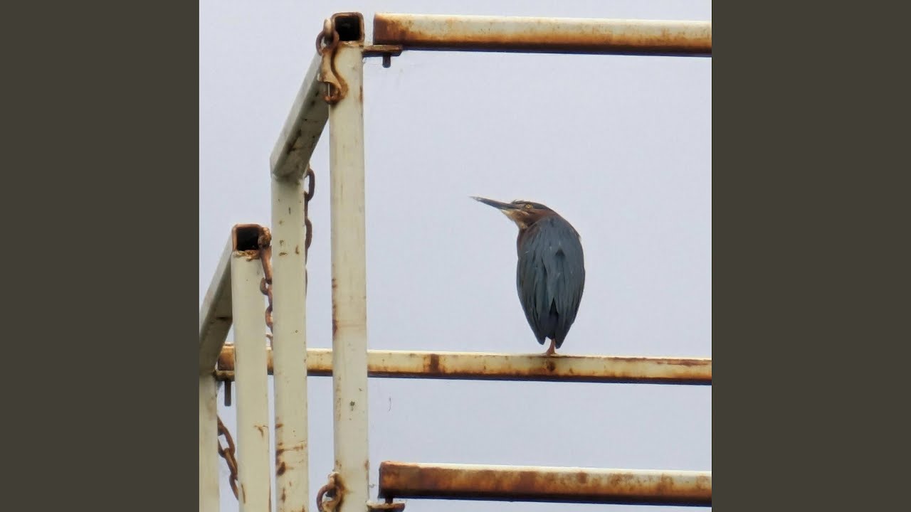 one crack please - YouTube