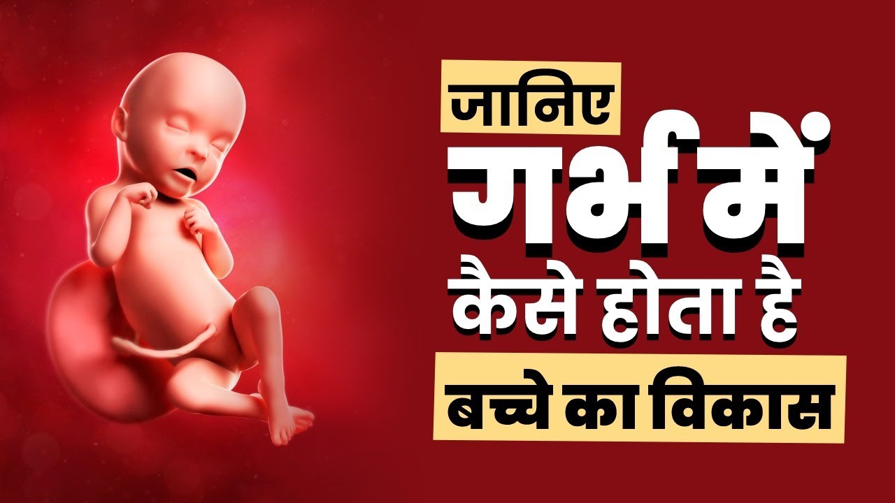 Pregnancy Week By Week | 1 - 41 Weeks Fetal Developments | fetal ...
