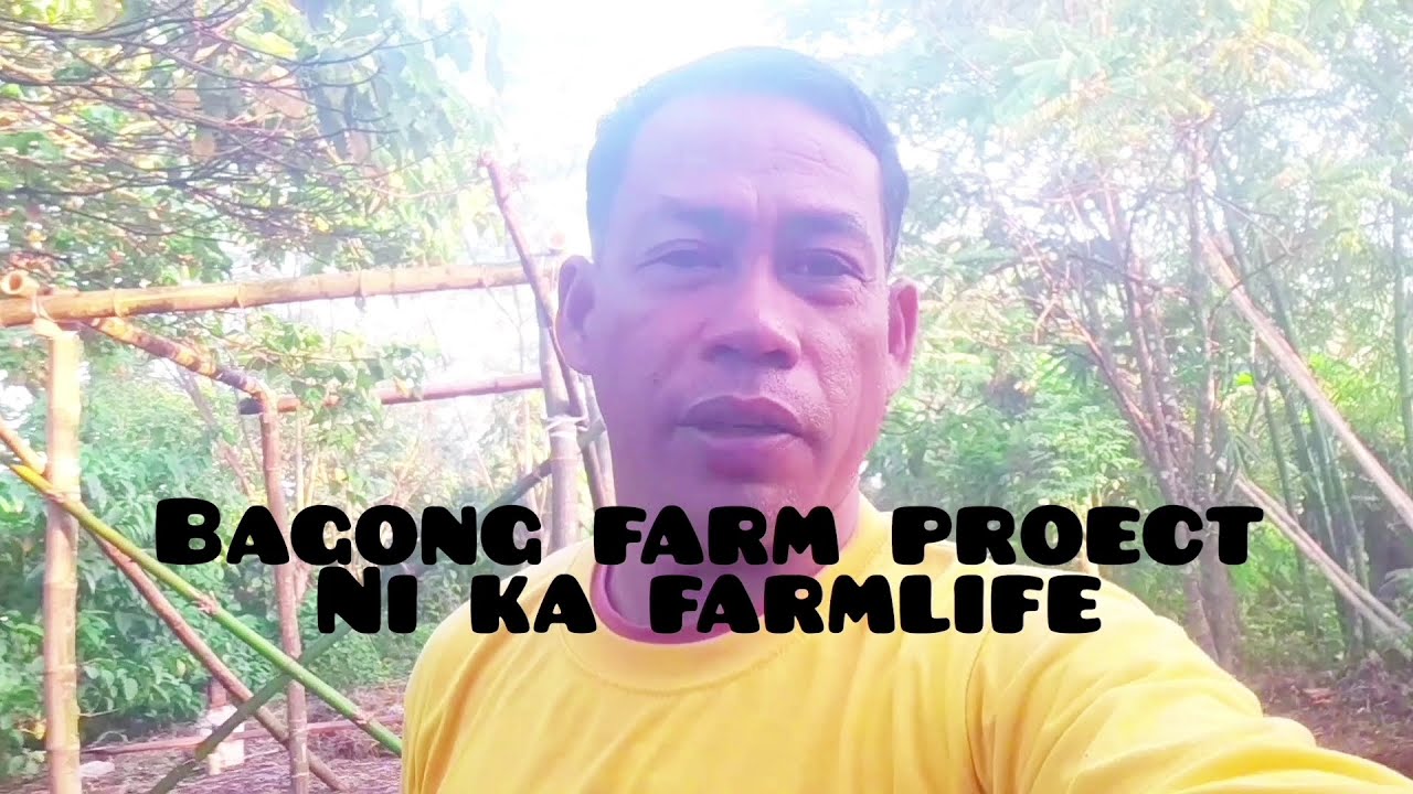 Paghahanda sa bagong farm project#bahay kubo@Rols farmlife - YouTube
