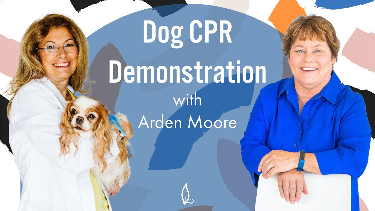 Dog and Cat CPR Demonstration with Arden Moore - YouTube