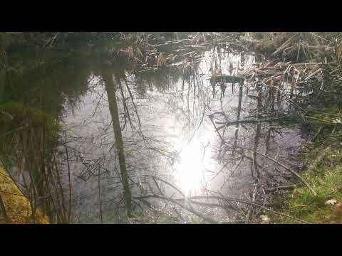 Dr. Alban - Its my life 432 Hz
