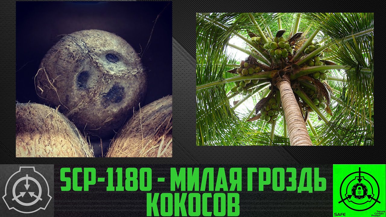SCP-1180 - Милая гроздь кокосов 【СТАРАЯ ОЗВУЧКА】 - YouTube