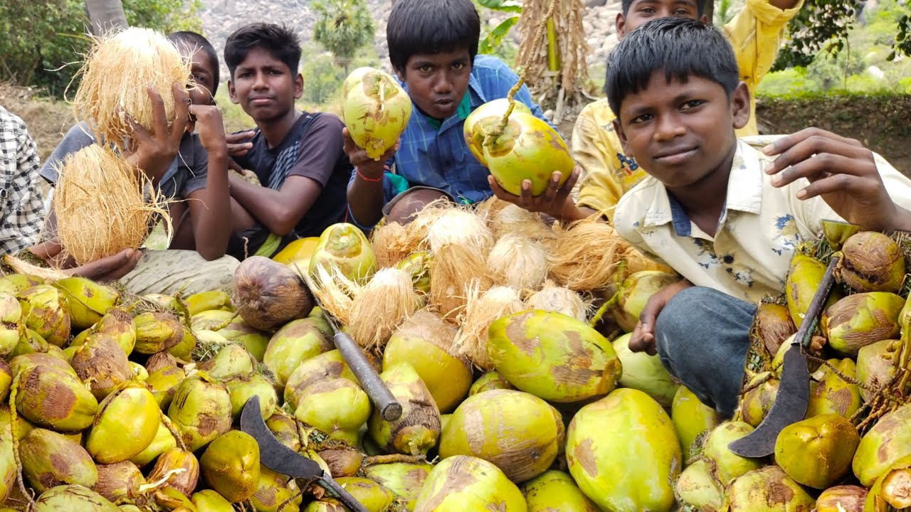 coconut removing machine | Manual easy coconut husk remover tool ...