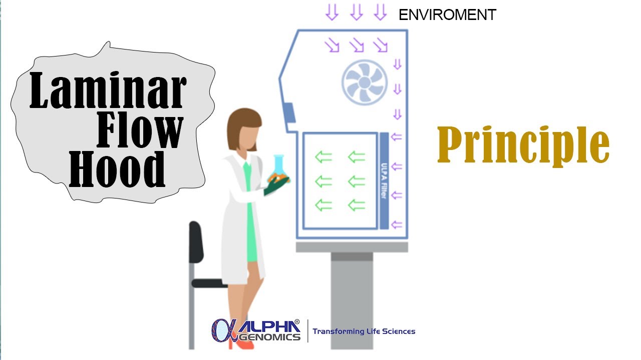 Principle and Working of Laminar Flow Hood [English] - YouTube