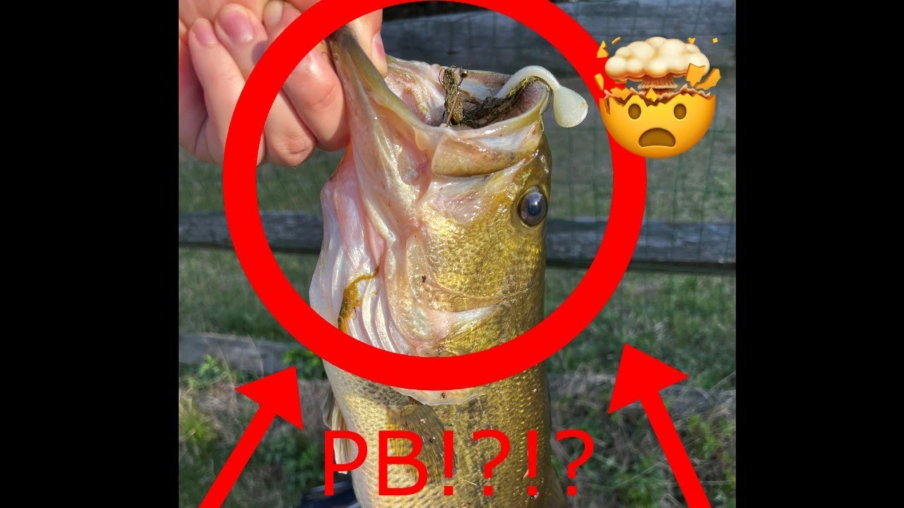 Beginner Fisherman Catches a Nice Fish (PB?!?!?) - YouTube
