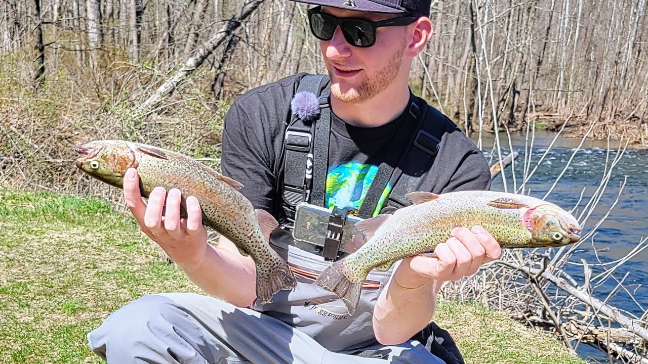 Trout Fishing a pond stacked with Trout! - YouTube