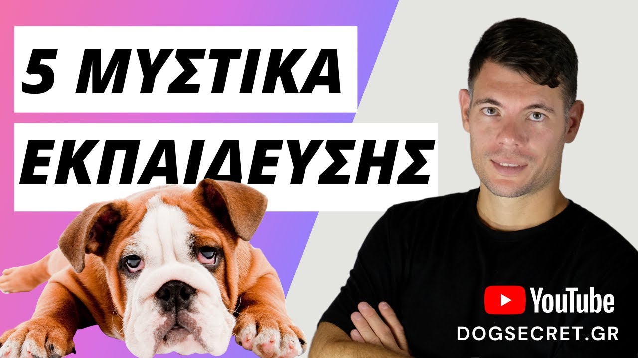5 ΜΥΣΤΙΚΑ ΓΙΑ ΤΗΝ ΕΚΠΑΙΔΕΥΣΗ ΤΟΥ ΣΚΥΛΟΥ ΠΟΥ ΔΕΝ ΗΞΕΡΕΣ - YouTube