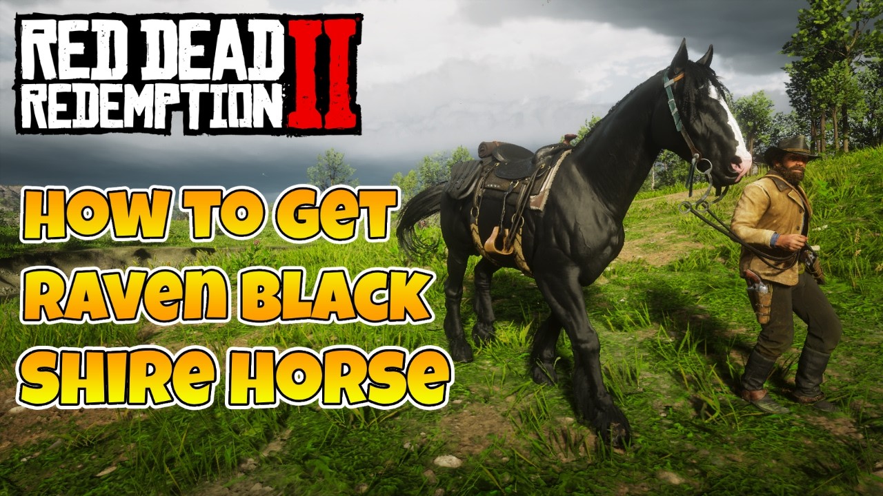 Red Dead Redemption 2 Raven Black Shire Horse Guide | How To Get The ...