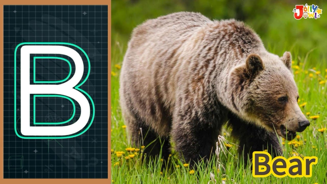 Learn how to write the letter B with Animals! Learn the ABC and ...