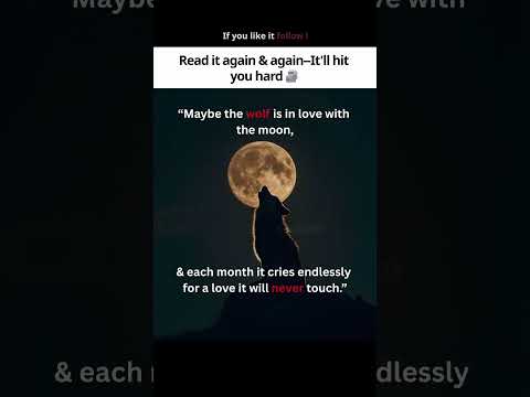 Wolf is in love with moon #quotes #life