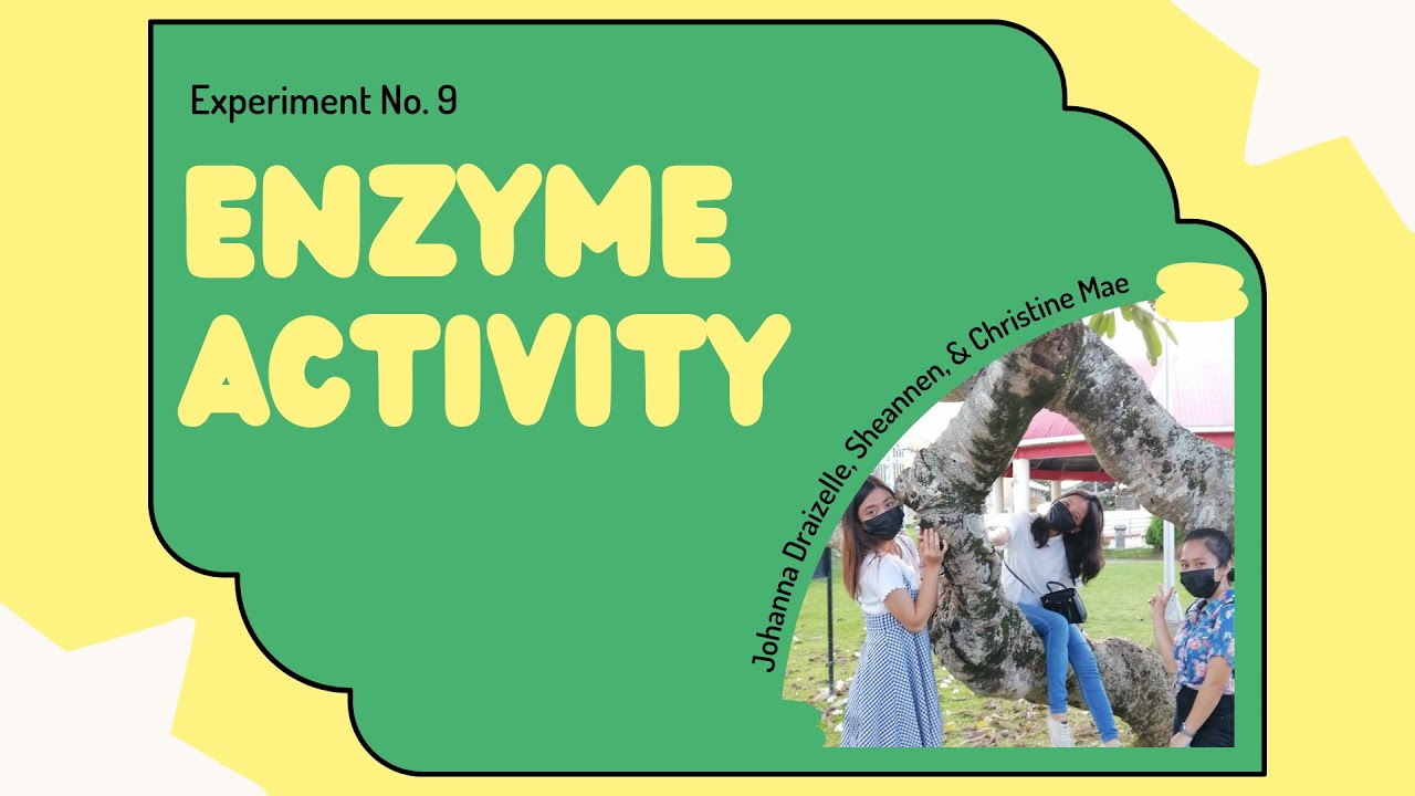 ENZYME ACTIVITY | AMYLASE | CATALASE | BIOCHEMISTRY - YouTube