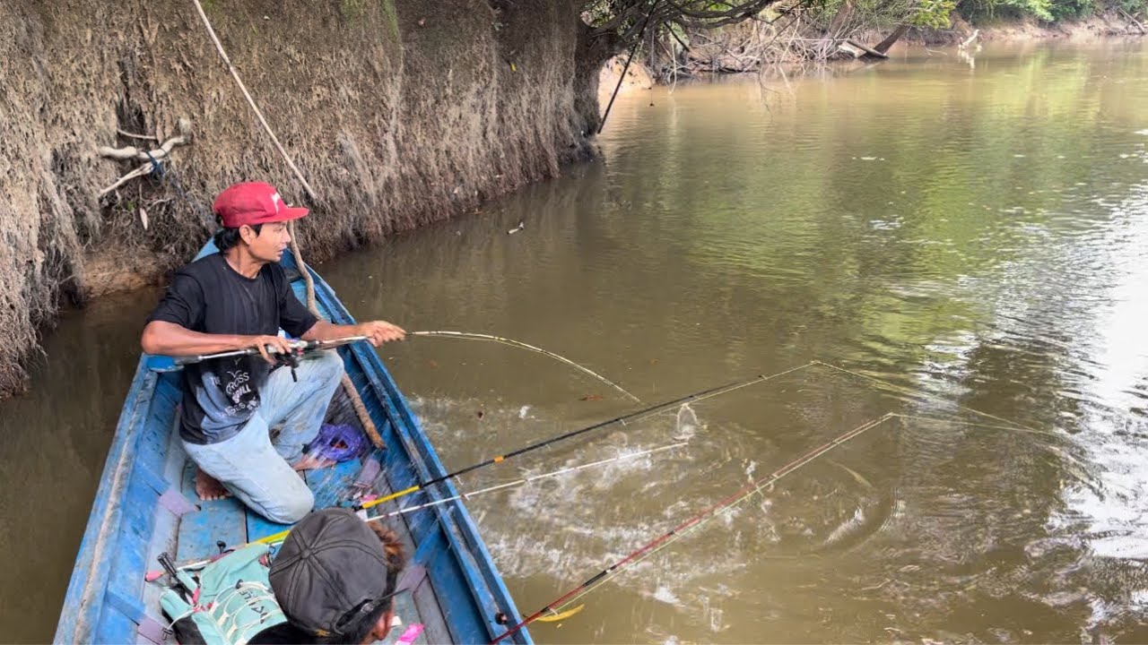 REKOR IKAN MUARA TERBESAR MUSIM 2023!!! SAMPAI TERTUNDUK LEMAS NARIK ...