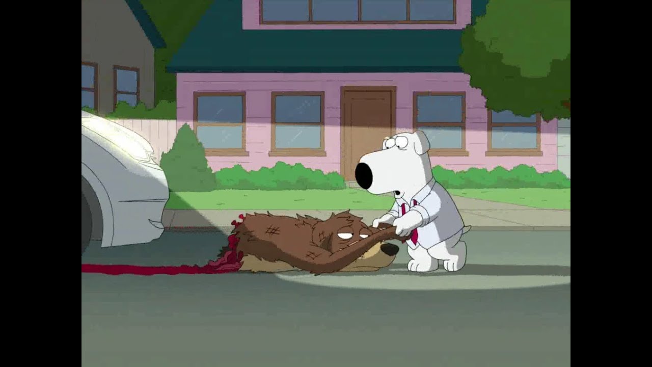 Family Guy ~ Brian crashes into a dog - YouTube