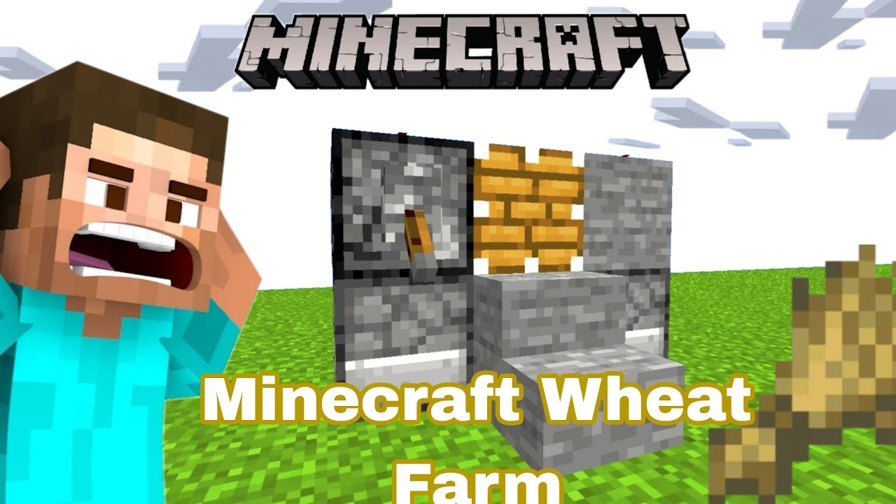 Auto Wheat Farm in Minecraft Bedrock and Java 1.21 - YouTube