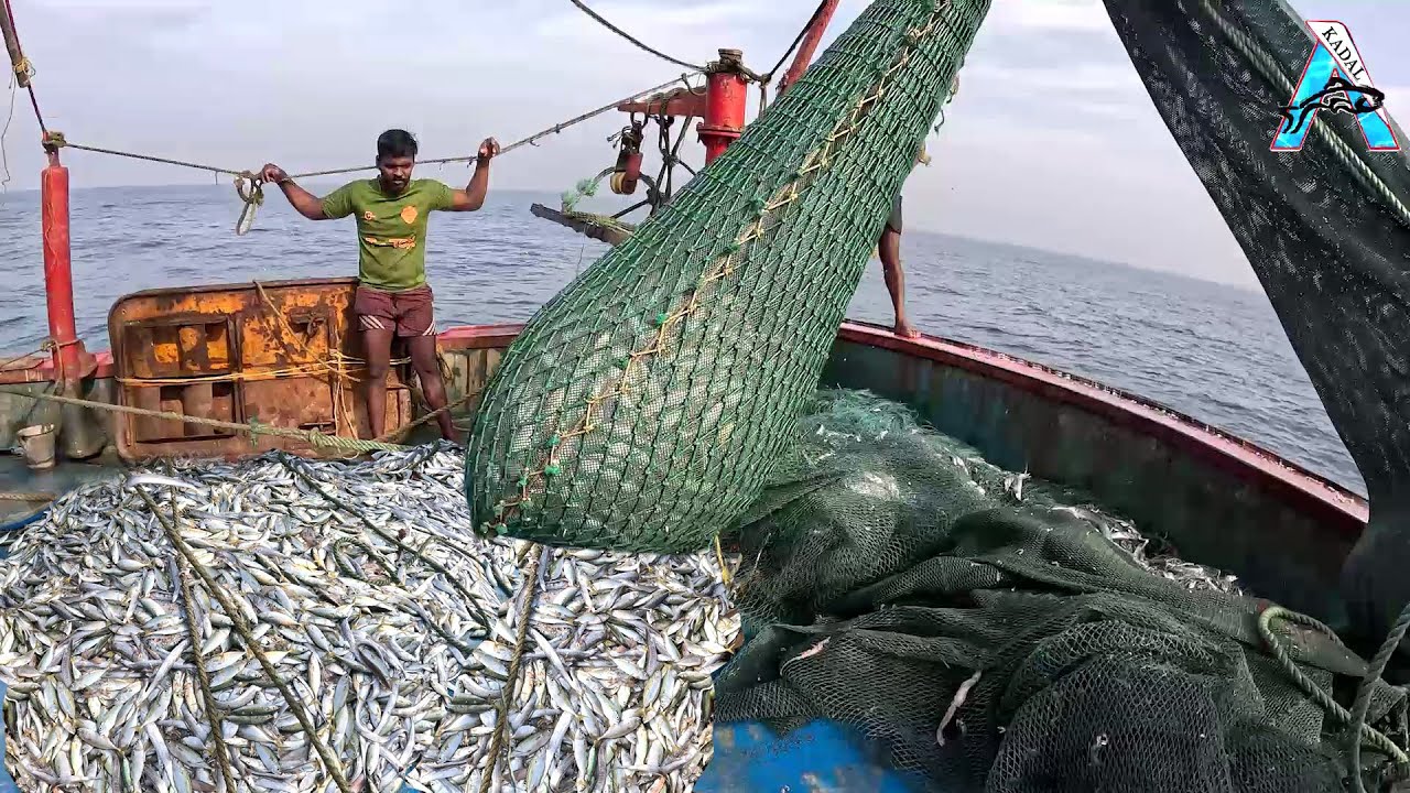 Awesome Fishing on The Sea - Fastest Catching & Processing King Fish ...