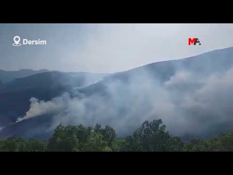 VALİLİK DERSİM'DEKİ ORMAN YANGINLARINA MÜDAHALEYİ ENGELLİYOR!