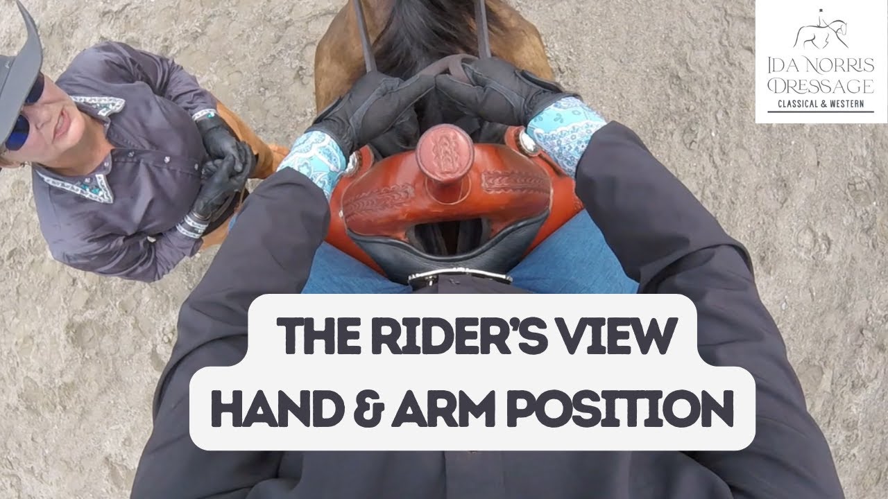 Western Dressage - From the Riders View - Hand & Arm Position Explained ...