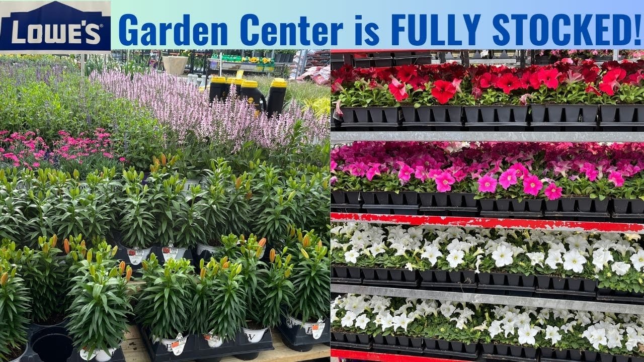NEW Spring and Summer Plant Shipment at Lowes Garden Center💚🪴🌺 - YouTube