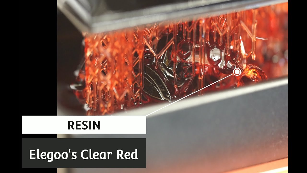 Clear Red Resin 3D SLA Print (Close-up Look) - YouTube