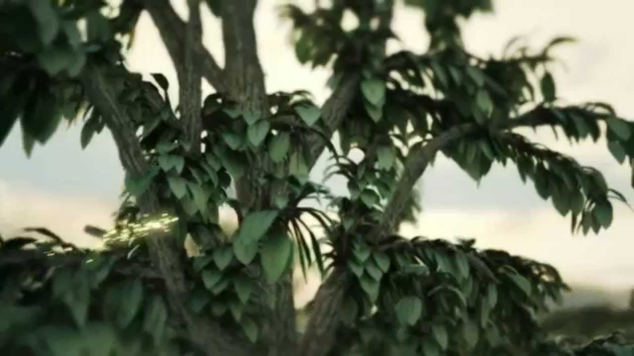 Le Biométhane - GrDF - YouTube