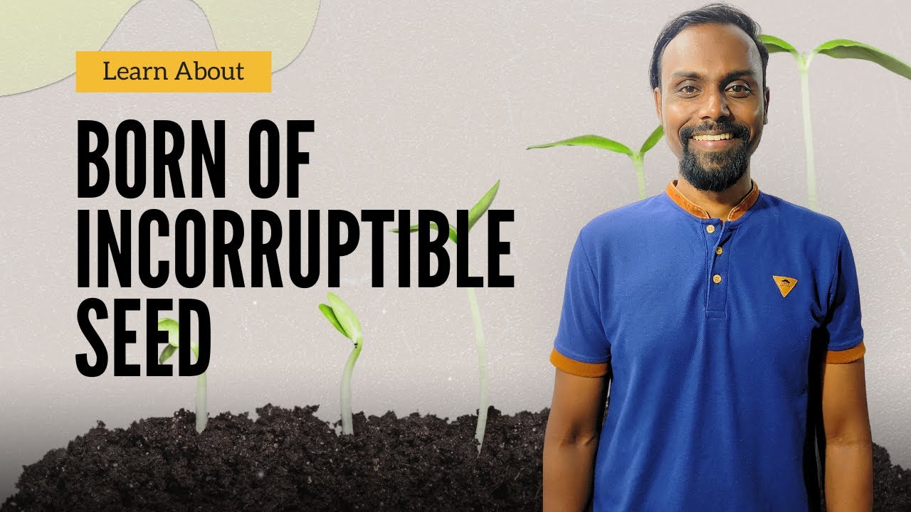 Being Born Again of The Incorruptible Seed | True Repentance - Change ...