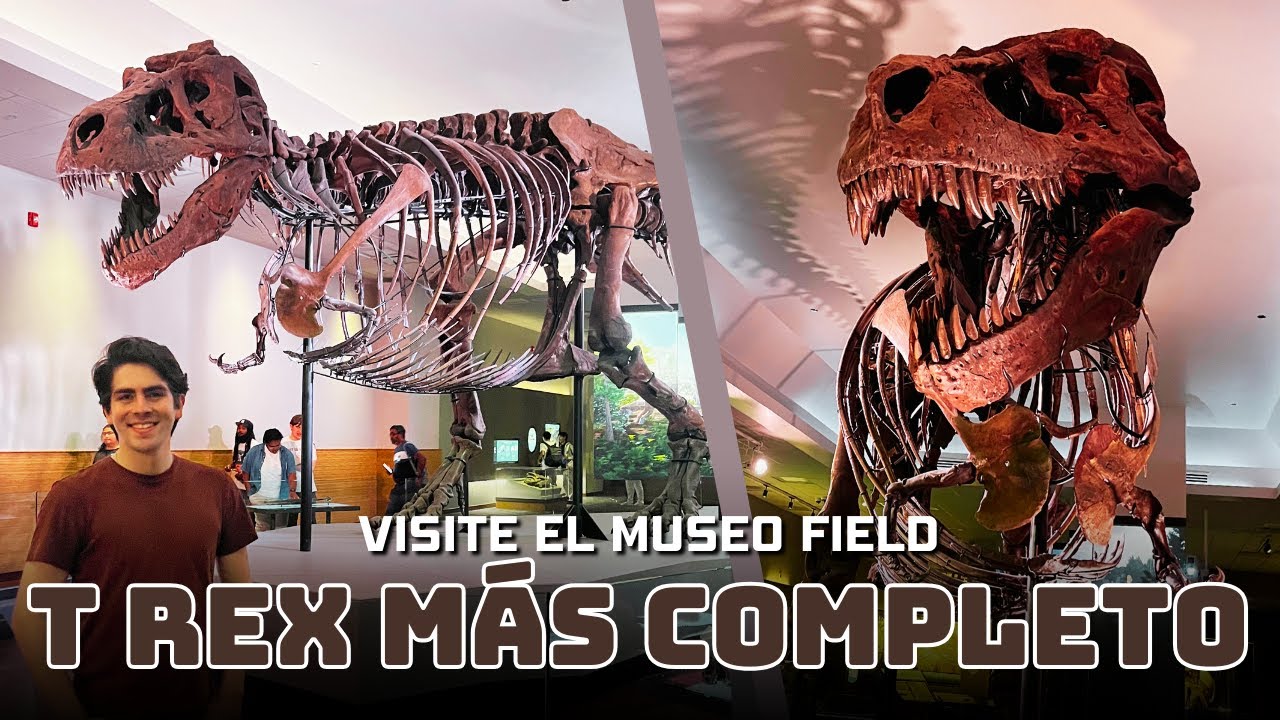Conocí al T. rex más completo del mundo 🦖 | Mi visita al Field Museum ...