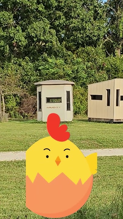 Surprising Chicken Coop Numbers Unveiled! #kapperoutdoors2 - YouTube